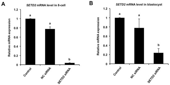 Histone Methyltransferase SETD2 Is Required for Porcine Early Embryonic ...