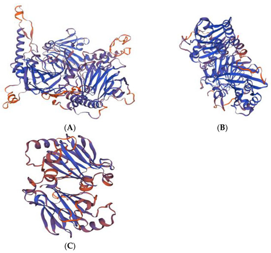 Molecular Characterization, Expression Profiles of SMAD4, SMAD5 and ...