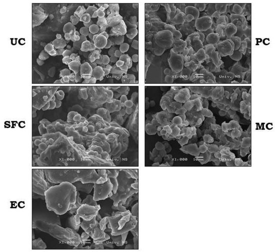 Physicochemical Changes of Heat-Treated Corn Grain Used in Ruminant ...