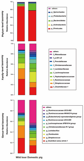Comparison of Changes in Gut Microbiota in Wild Boars and Domestic Pigs ...