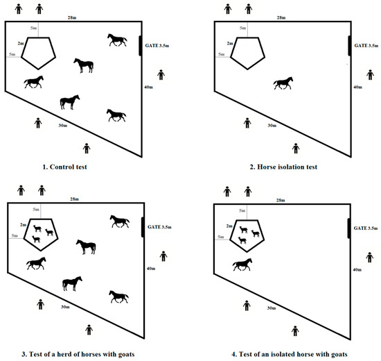 Minimizing the Effects of Social Isolation of Horses by Contact with ...