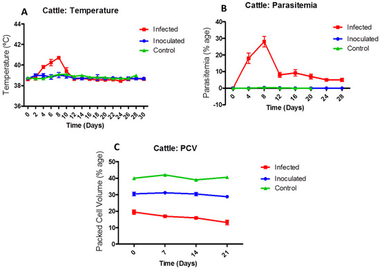 Propagation of Babesia bigemina in Rabbit Model and Evaluation of Its ...