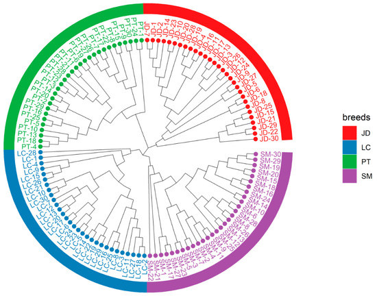 Genome-Wide Population Structure Analysis and Genetic Diversity ...