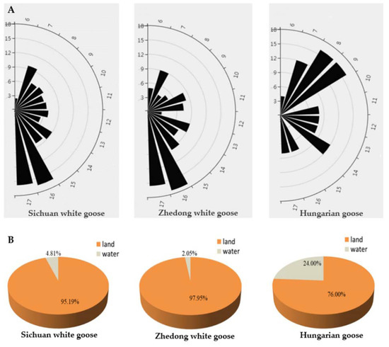 Characteristics of the Mating Behavior of Domesticated Geese from Anser ...