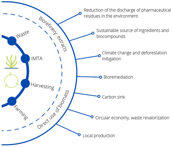 Marine Macroalgae in Rabbit Nutrition—A Valuable Feed in Sustainable ...
