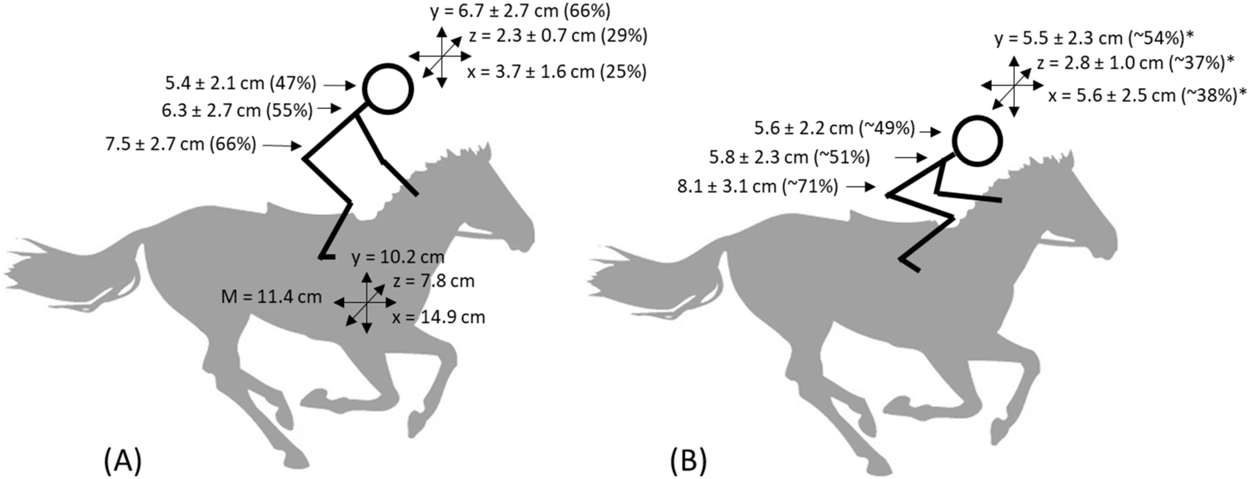 Animals | Free Full-Text | Physiological Demands and Muscle Activity of ...