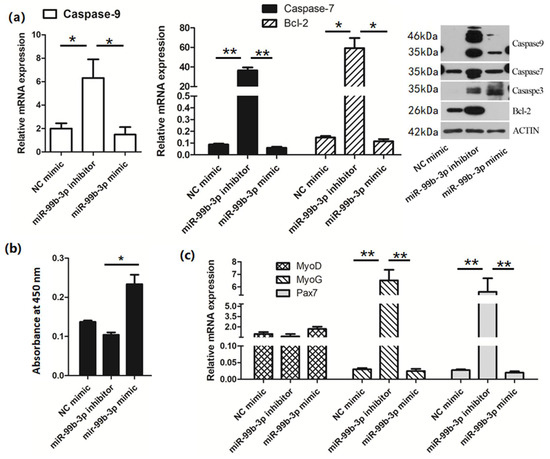 Chi Mir 99b 3p Regulates The Proliferation Of Goat Skeletal Muscle