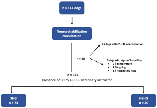 Early Locomotor Training in Tetraplegic Post-Surgical Dogs with ...