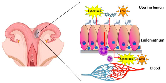 Animals | Free Full-Text | Relationship between Oxidative Stress and ...