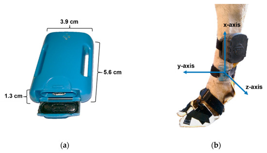 Gait Analysis in Walking and Trotting Dairy Cows on Different Flooring ...