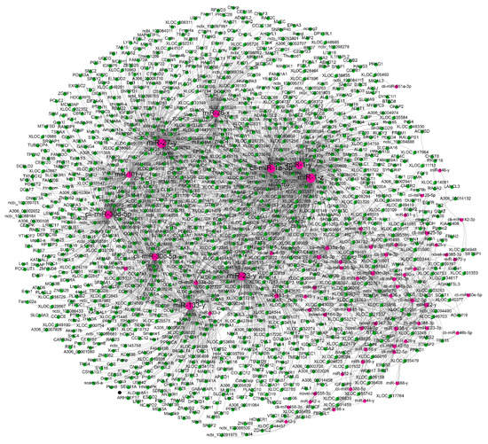 Animals | Free Full-Text | Identification of miRNA–mRNA Networks ...