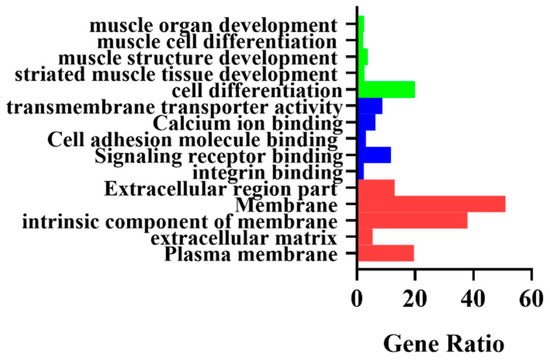 The MyoD1 Promoted Muscle Differentiation and Generation by Activating ...