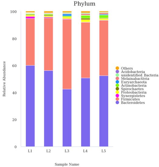 Rumen Fermentation, Microbial Population and Digestibility in Ruminants