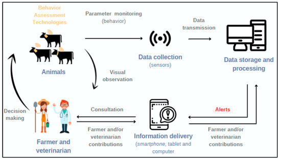 Technological Tools for the Early Detection of Bovine Respiratory ...