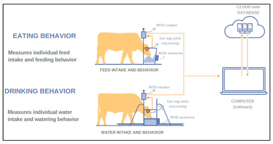 Technological Tools for the Early Detection of Bovine Respiratory ...