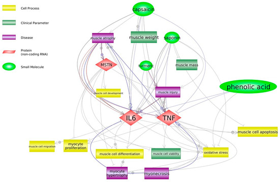 Animals | Free Full-Text | Effect of Phytobiotic Composition on ...