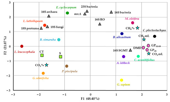Foliage of Tropical Trees and Shrubs and Their Secondary Metabolites ...