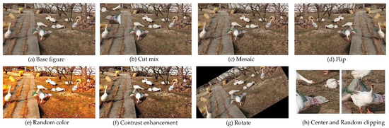 Study of a QueryPNet Model for Accurate Detection and Segmentation of ...