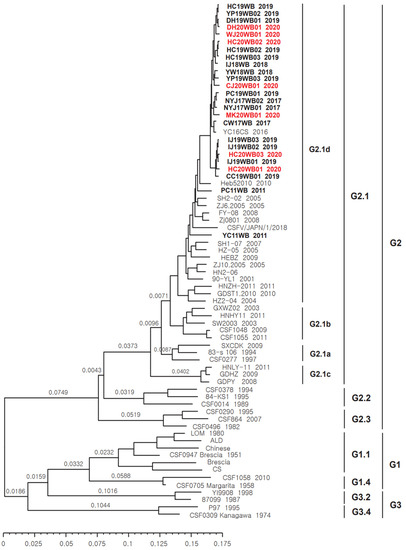 Haplotype of Wild Korean Boars Infected by Classical Swine Fever Virus ...