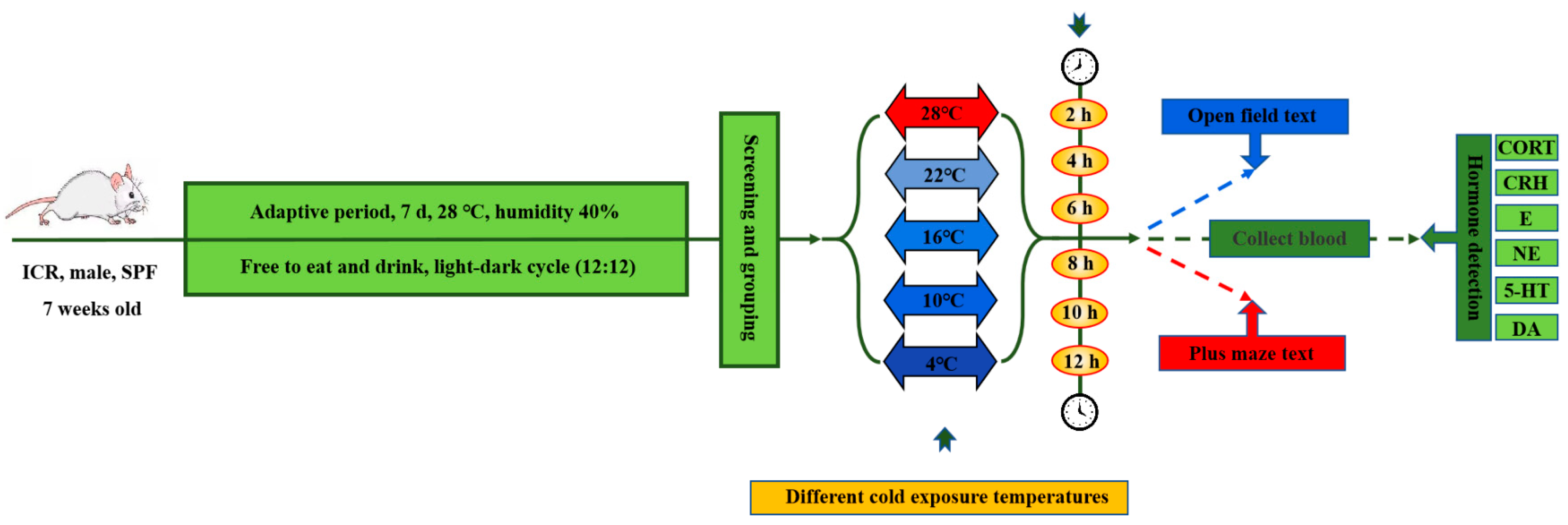 Animals | Free Full-Text | Effect of Acute Cold Stress on Neuroethology ...