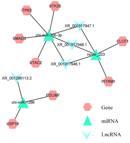Identification and Characterization of lncRNAs Expression Profile ...