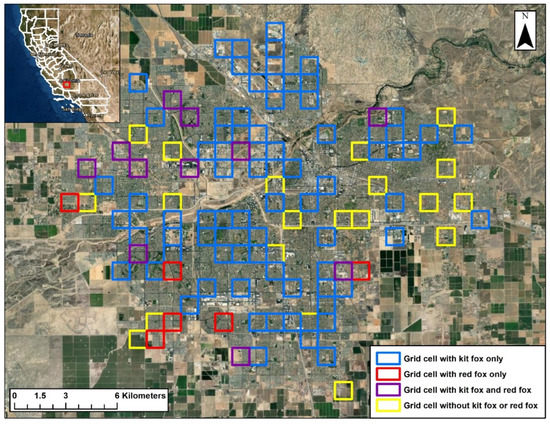 Animals | Free Full-Text | Intraguild Competition between Endangered ...