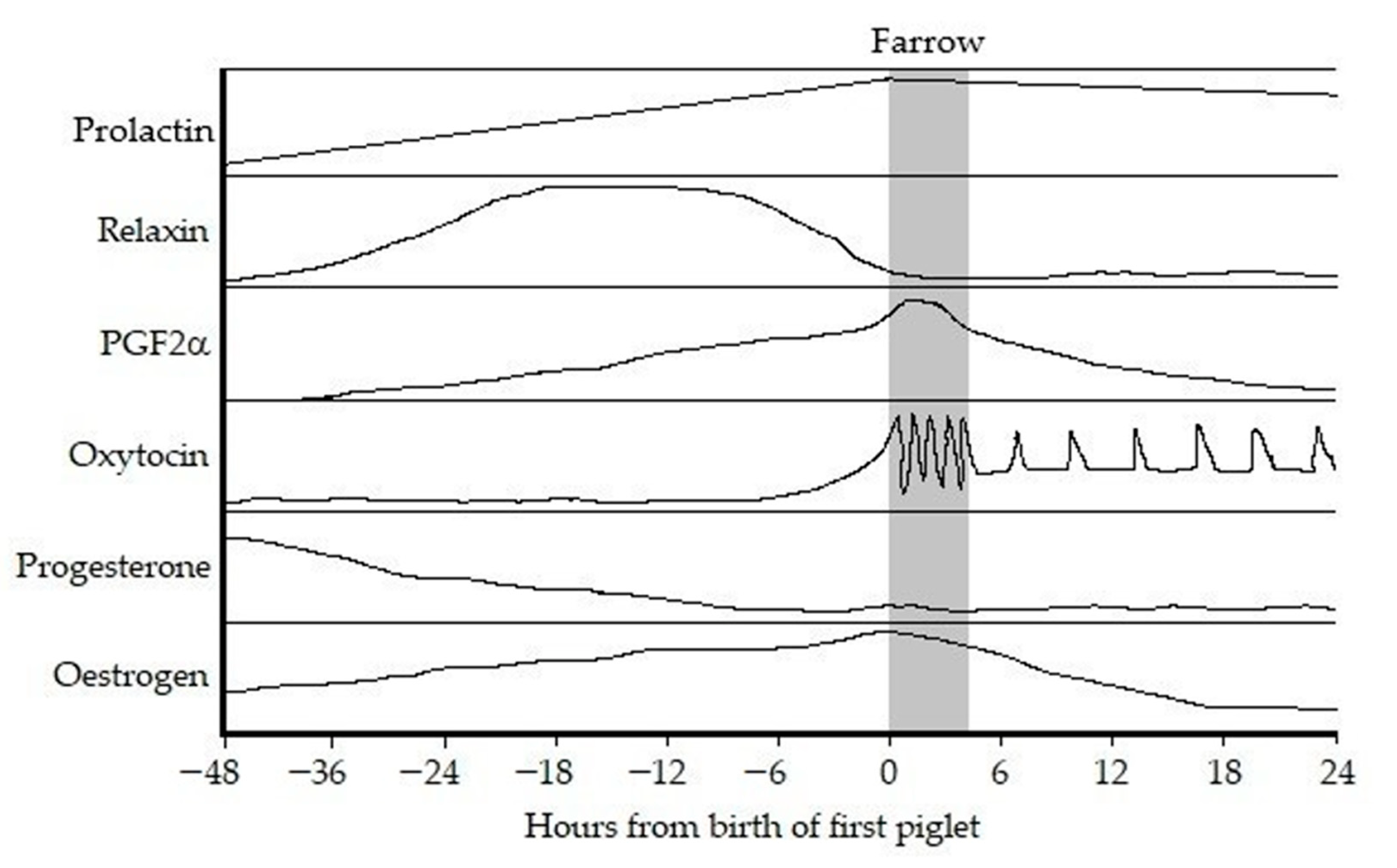 Defining “Normal” in Pig Parturition