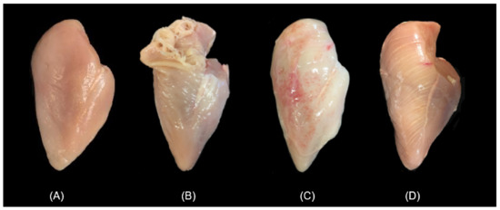 Quality and Processability of Modern Poultry Meat