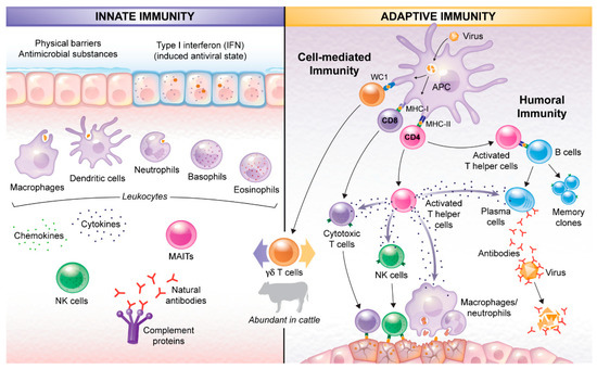 Animals | Free Full-Text | Trace Minerals Supplementation with Great ...