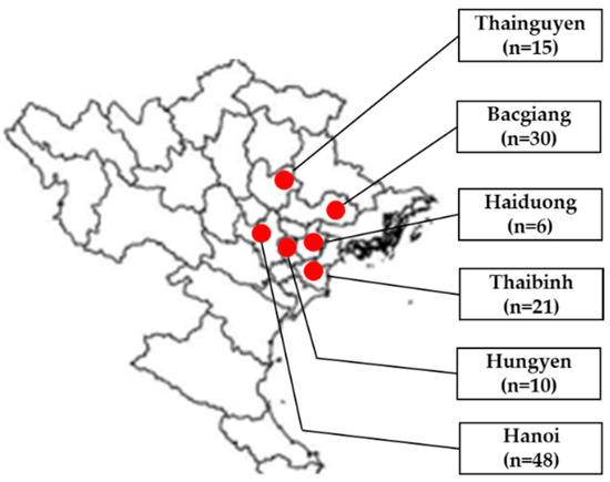 Epidemiological Analysis and Genetic Characterization of Parvovirus in ...
