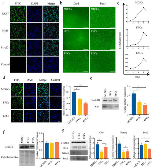 Animals | Free Full-Text | Effects of Crotonylation on Reprogramming of ...