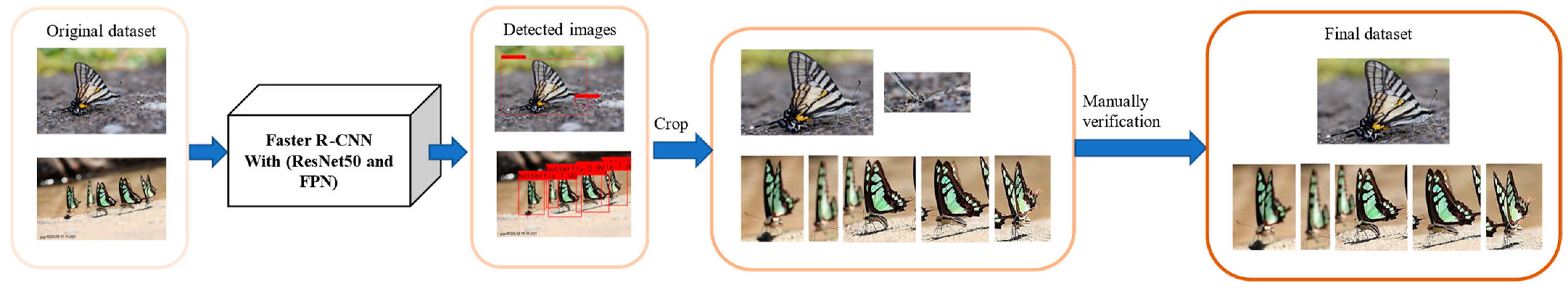 Fine-Grained Butterfly Recognition via Peer Learning Network with ...