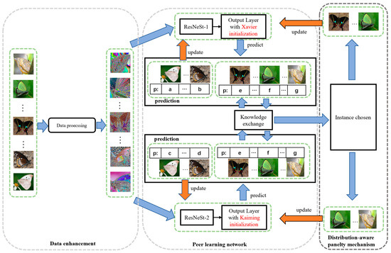 Fine-Grained Butterfly Recognition via Peer Learning Network with ...