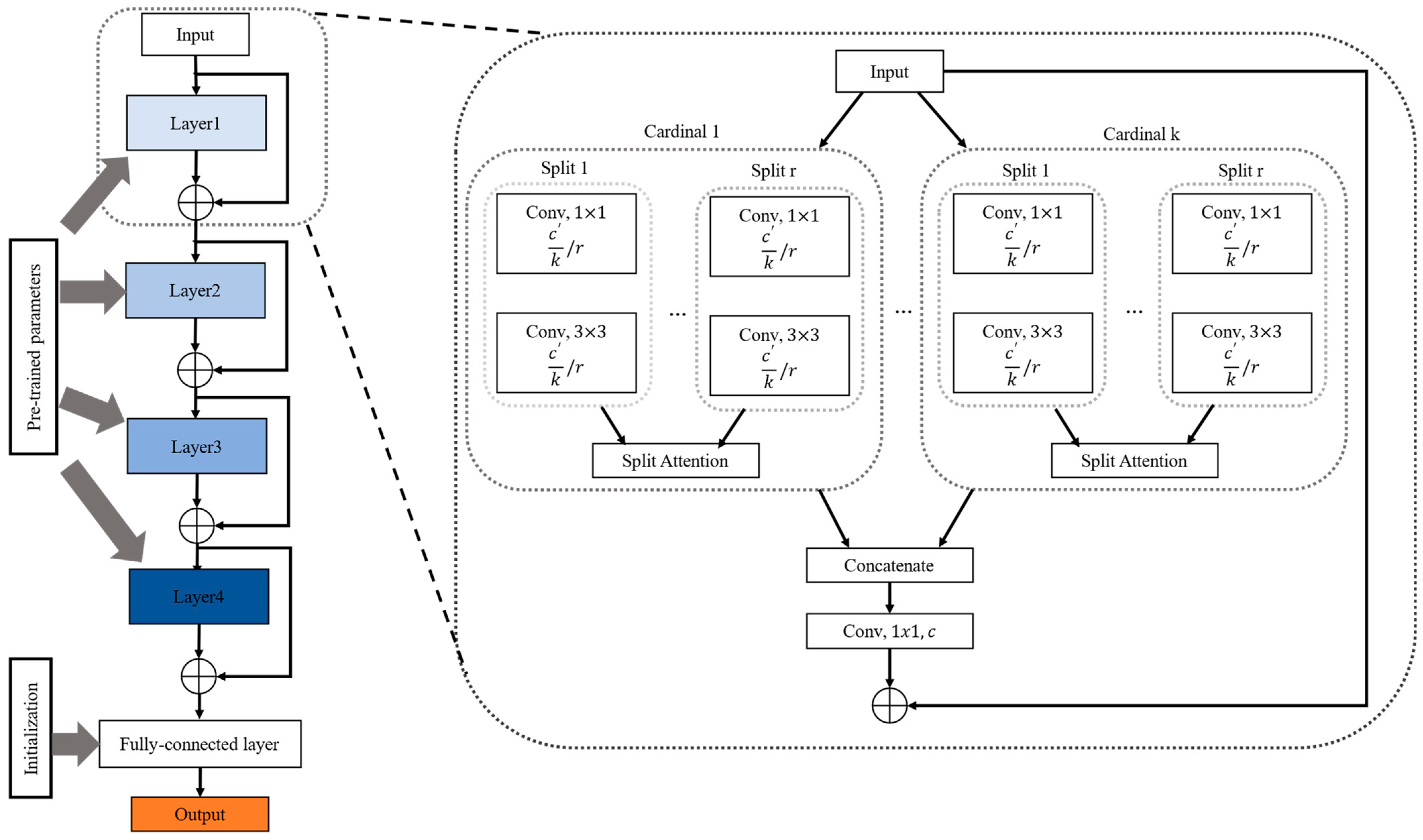 Fine-Grained Butterfly Recognition via Peer Learning Network with ...