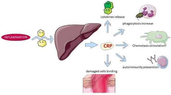 Animals | Free Full-Text | C-Reactive Protein as a Diagnostic Marker in ...