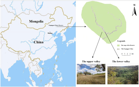 Effects of Valley Topography on Acoustic Communication in Birds: Why Do ...
