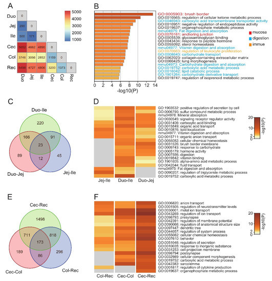 The Analysis of Transcriptomes and Microorganisms Reveals Differences ...