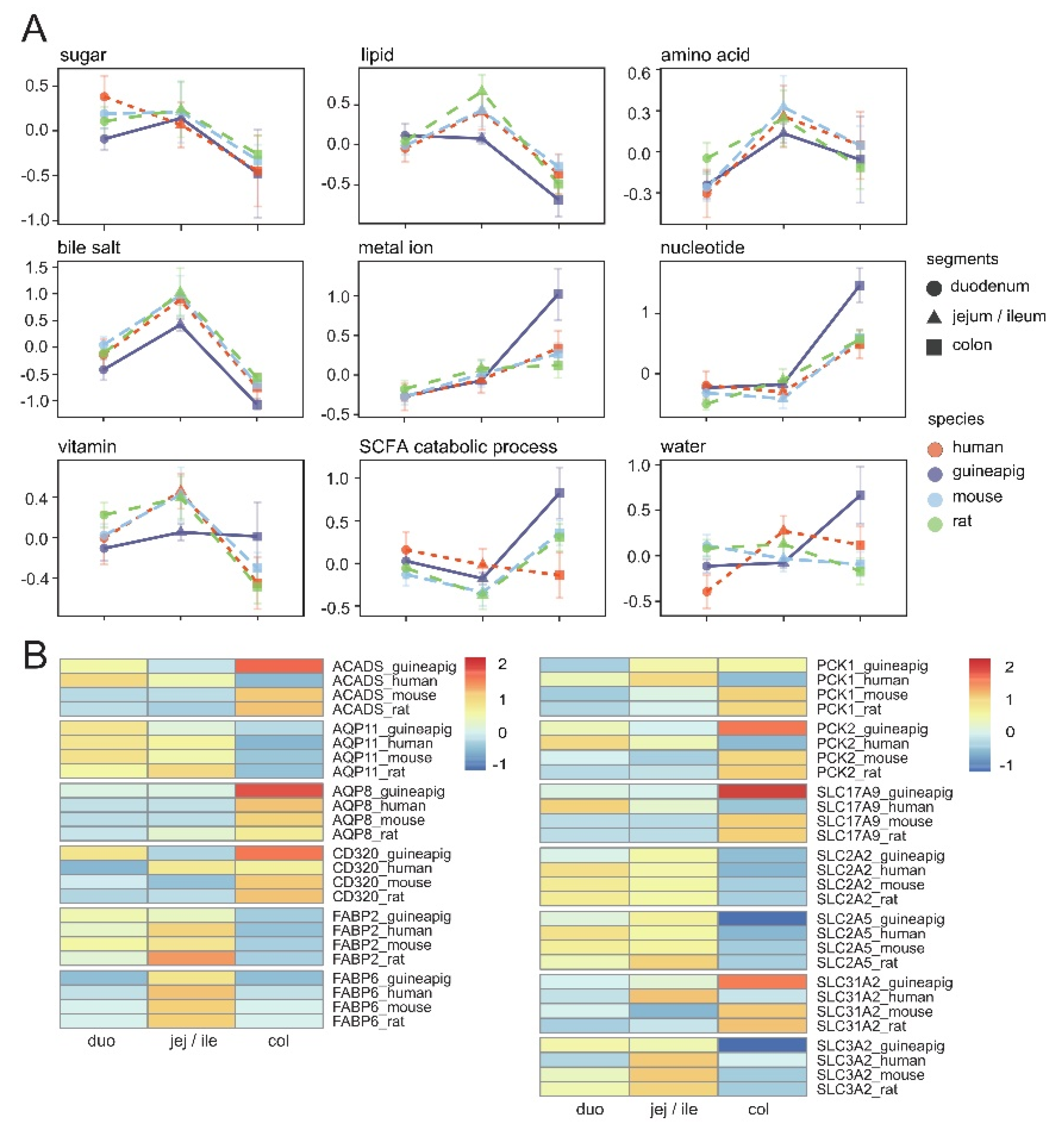 The Analysis of Transcriptomes and Microorganisms Reveals Differences ...