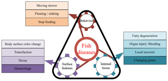 Advanced Techniques for the Intelligent Diagnosis of Fish Diseases: A ...
