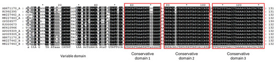 The Complete Mitochondrial Genome of Eurasian Minnow (Phoxinus cf ...