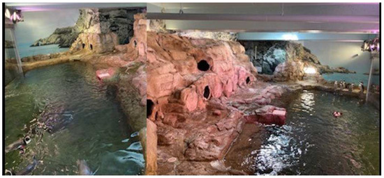 Comparing Data Collection Tools for Zoo Management Decision-Making: A ...