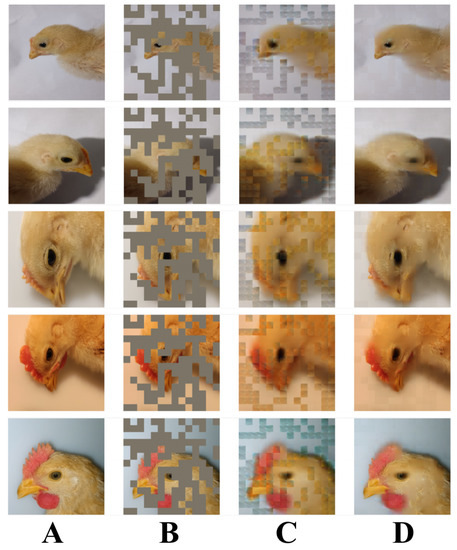 An Advanced Chicken Face Detection Network Based on GAN and MAE