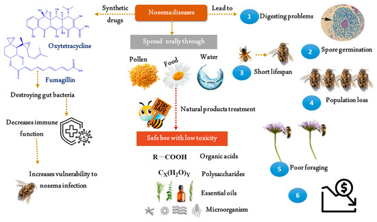 Insights into the Role of Natural Products in the Control of the Honey ...