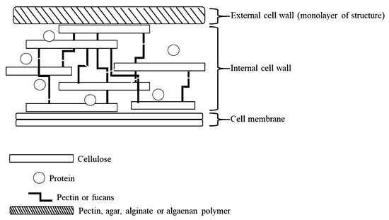 Use of Microorganisms as Nutritional and Functional Feedstuffs for ...