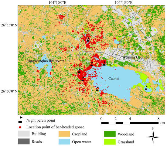 Positive Effects of Land Use Change on Wintering Bar-Headed Geese ...