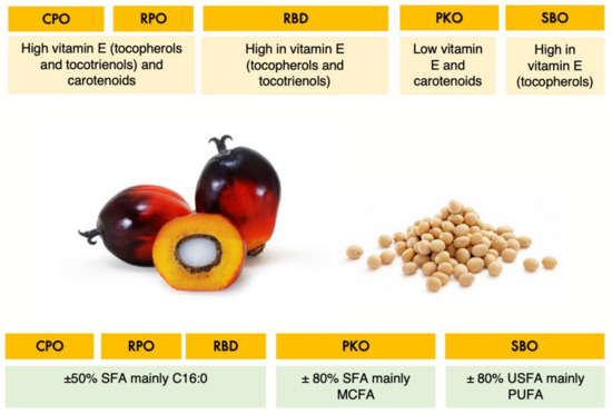 Influence of Dietary Palm Oils, Palm Kernel Oil and Soybean Oil in ...