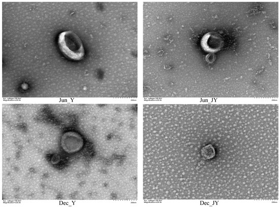 Comparative Study of the Expression Profiles of miRNAs of Milk-Derived ...