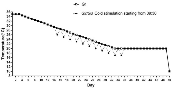 Effects of Acute Cold Stress after Intermittent Cold Stimulation on ...
