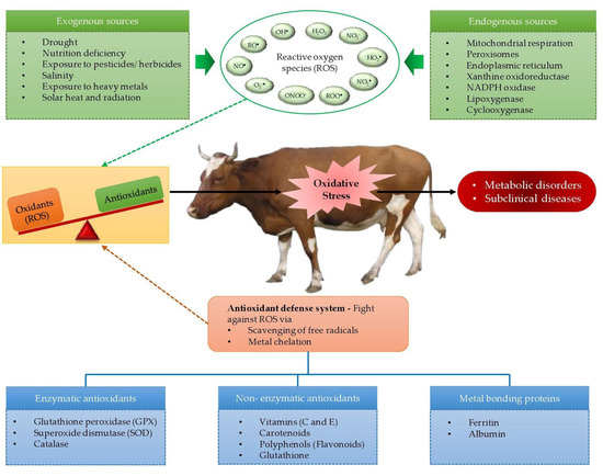 The Importance of Dietary Antioxidants on Oxidative Stress, Meat and ...