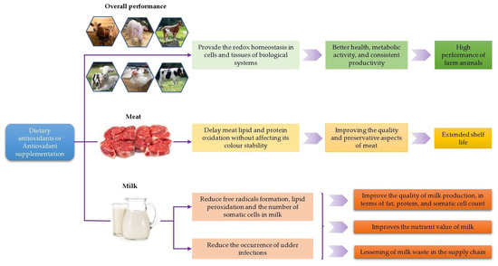 The Importance of Dietary Antioxidants on Oxidative Stress, Meat and ...